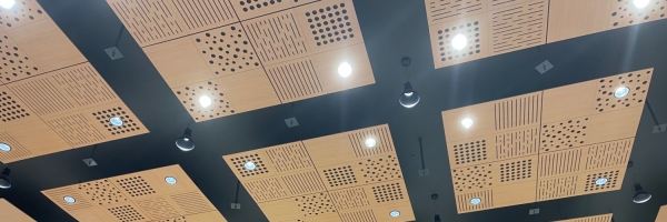 Alpha Acoustics
